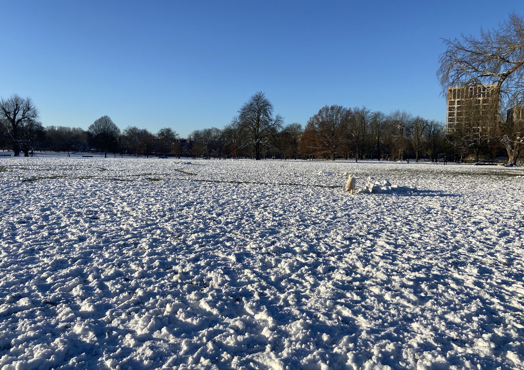 USP LOVES: ISSUE 1 – FEELING ALL THE FEELINGS | USP Edit