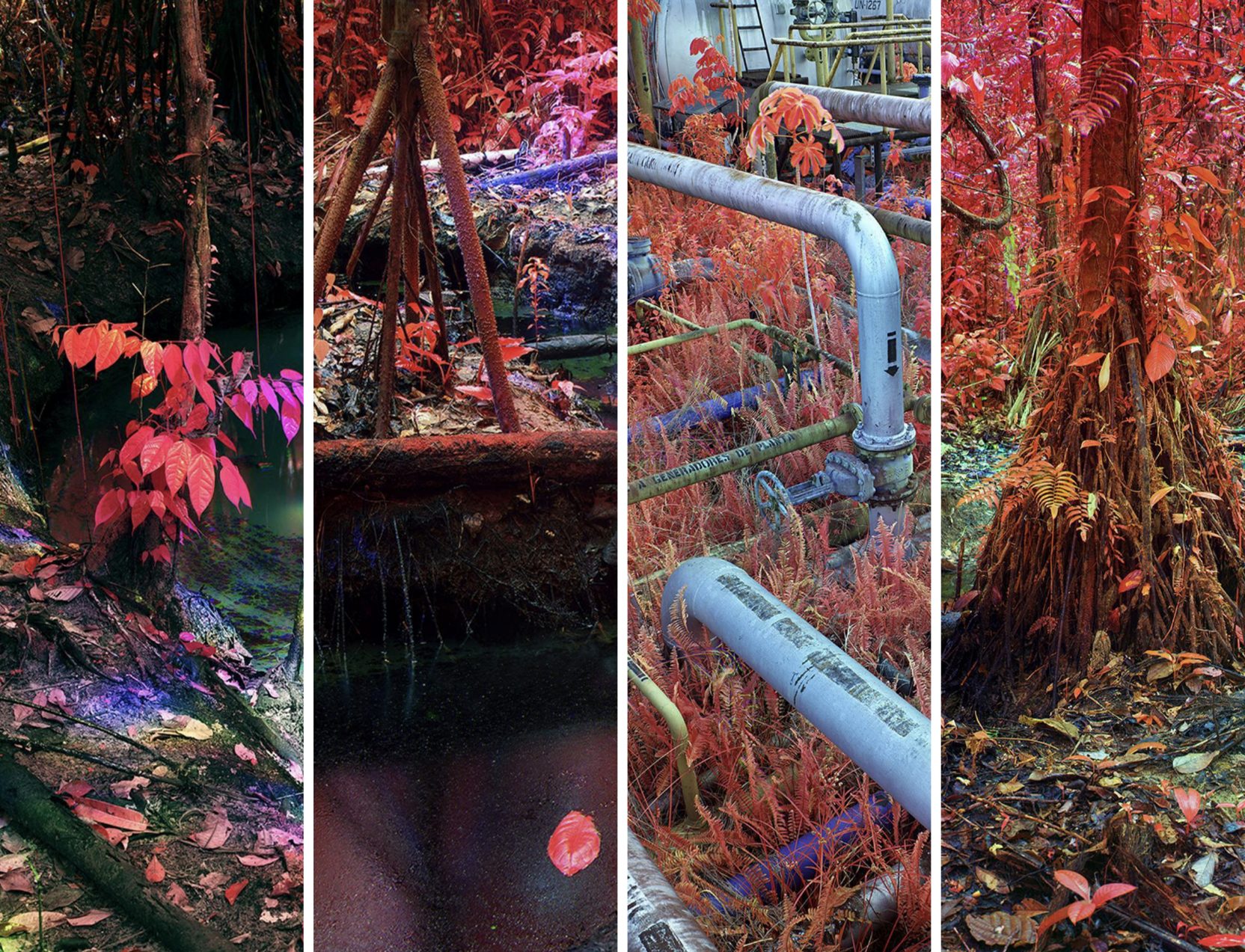 ART: RICHARD MOSSE FILM AT DEAR EARTH EXHIBITION | USP Edit