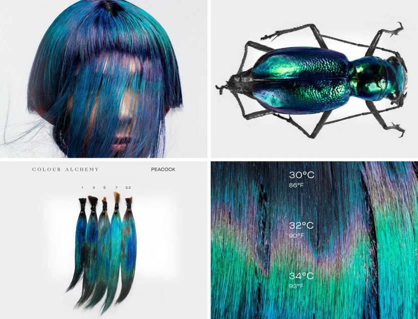 BEAUTY: THE UNSEEN COLOUR ALCHEMY HAIR | USP Edit